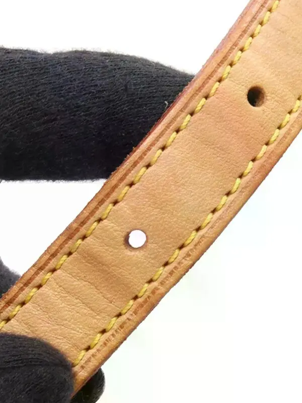 LOUIS VUITTON Monogram Viva Cite Pm Crossbody Bag