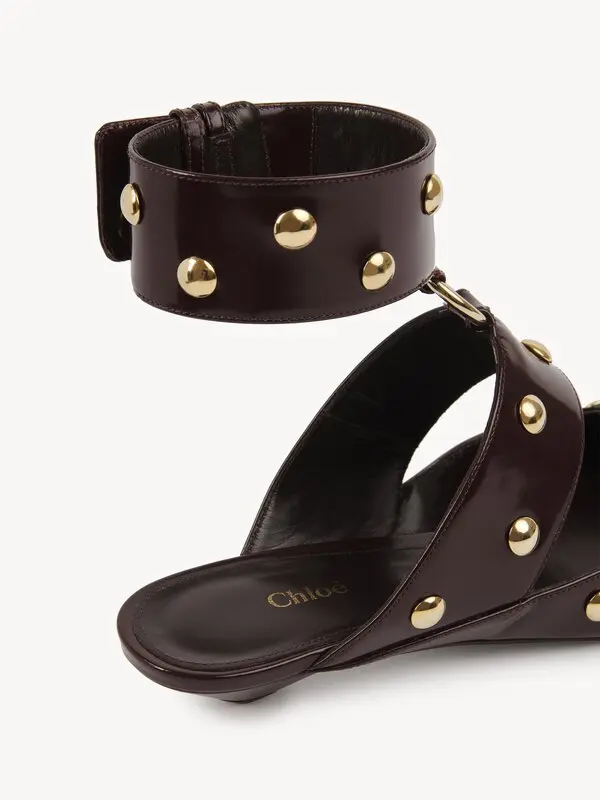 Chloé Embellished Ankle Strap Sandals