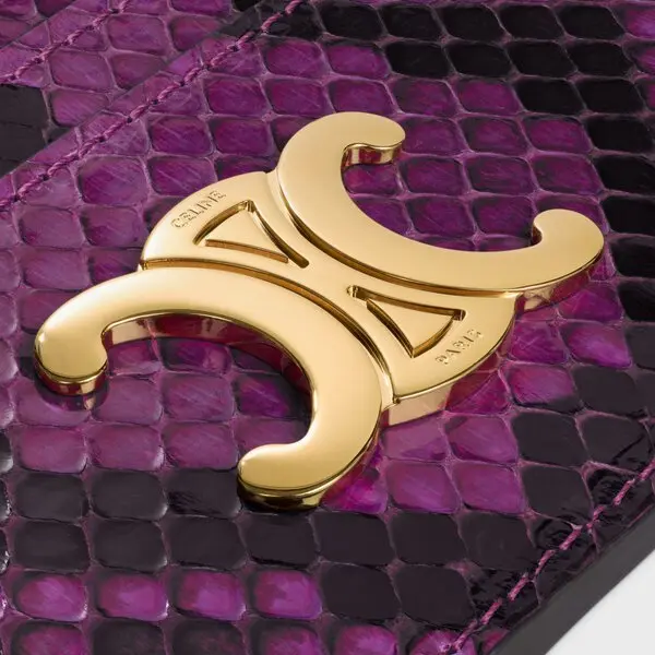 Celine Card Holder Triomphe In Python