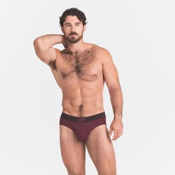 SKIMS Brief 3 Pack | Grey | | Cotton - Bordeaux Stone Multi