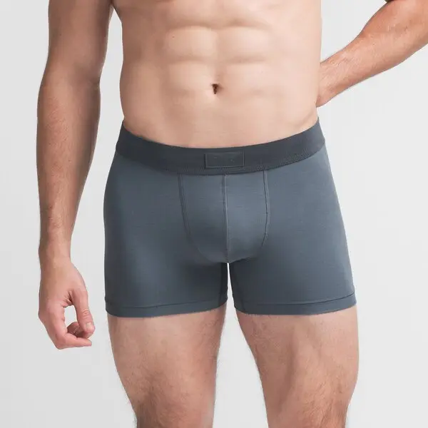SKIMS 3" Boxer Brief | Blue | | Cotton - Kyanite