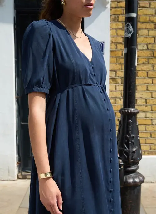 Isabella Oliver Marta Maternity Button-front Dress