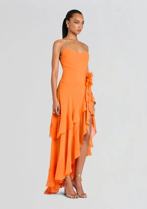 Retrofete Samara Silk Chiffon Dress - Arianzo