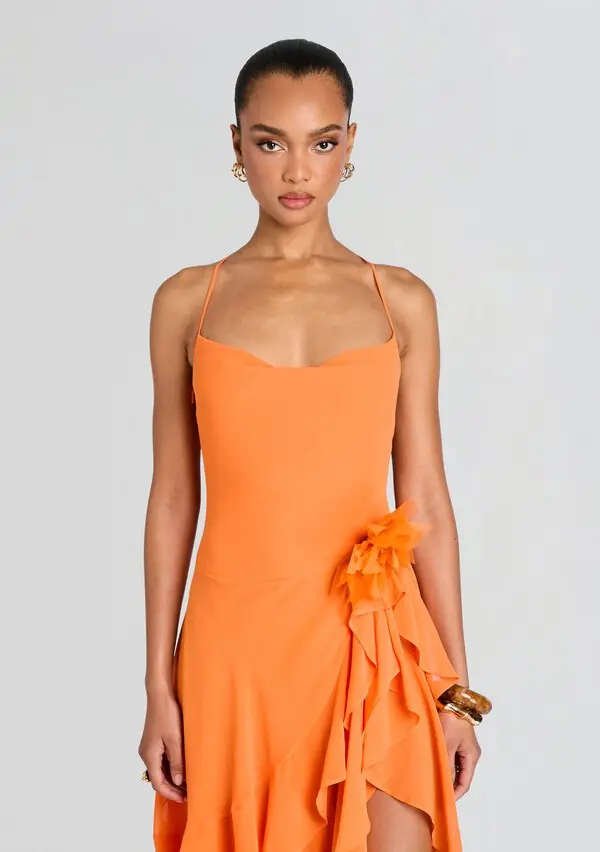 Retrofete Samara Silk Chiffon Dress - Arianzo