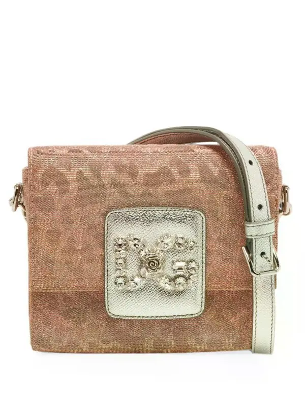 Dolce & Gabbana Mini Dg Millennials Leopard-print Crossbody Bag - Pink