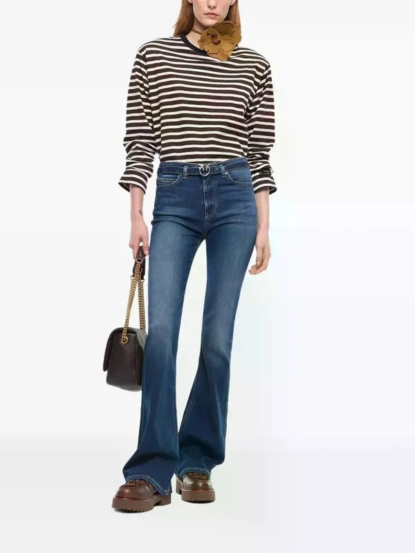 Pinko Striped Long-sleeve T-shirt - Brown