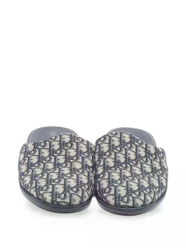 Dior Oblique Canvas Mules