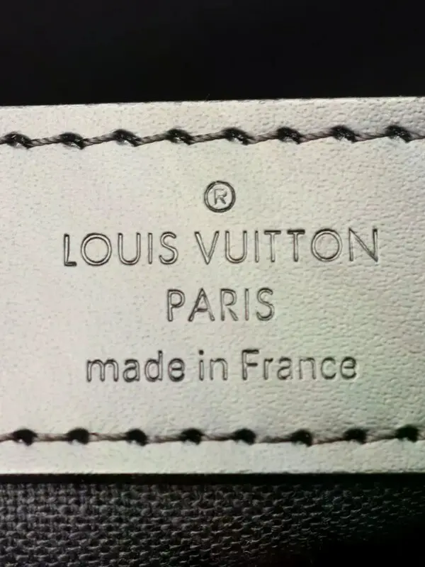 LOUIS VUITTON 2011 Damier Graphite Tadao Satchel