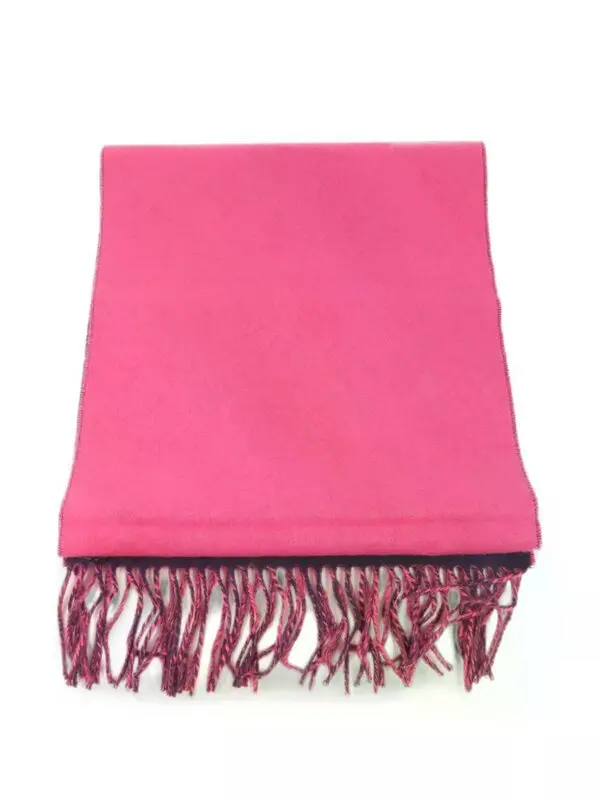 Hermès Fringed Scarf
