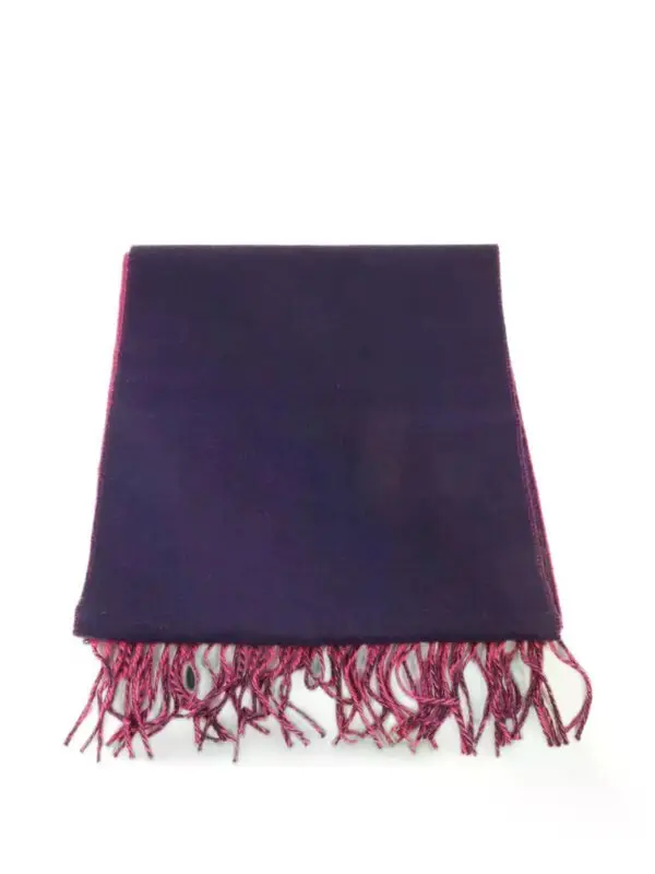Hermès Fringed Scarf