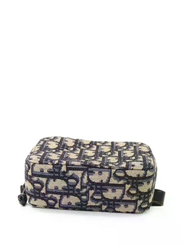 Dior Oblique Belt Bag