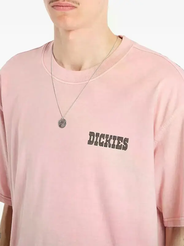Dickies Buchtell Graphic-print T-shirt