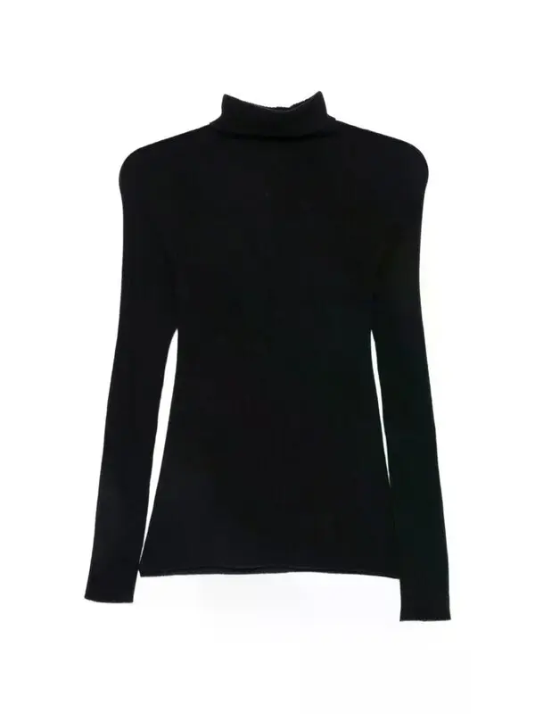 Fabiana Filippi Ribbed Knit Roll Neck Sweater