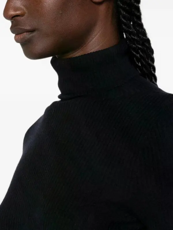 Fabiana Filippi Ribbed Knit Roll Neck Sweater