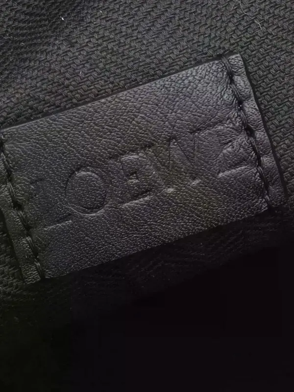 Loewe 2010-2026 Leather Cubi Crossbody Bag