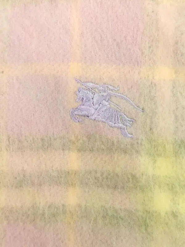 Burberry Check-print Fringed Scarf