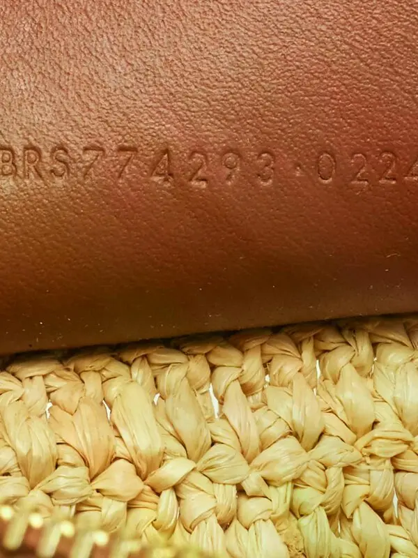 Saint Laurent 2024 Gaby Raffia Crossbody Bag