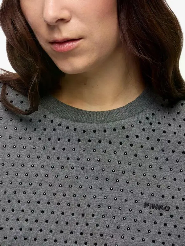 Pinko Crystal-embellished Logo-print Crew Neck Sweater