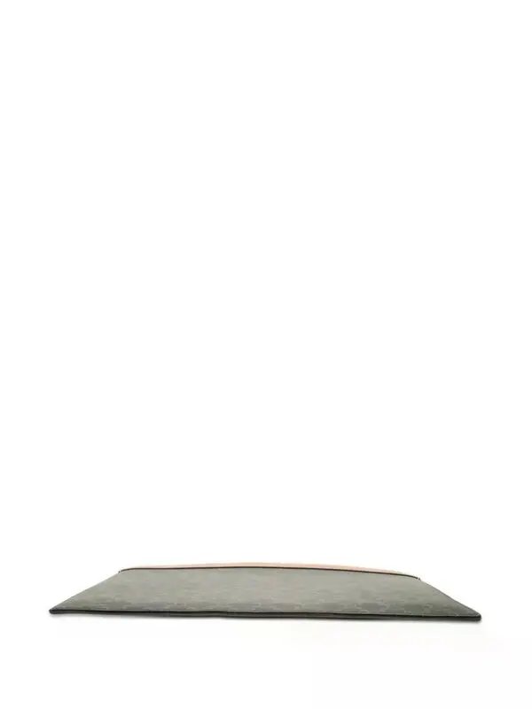 Celine 2022 Triomphe Coated Canvas Clutch Bag