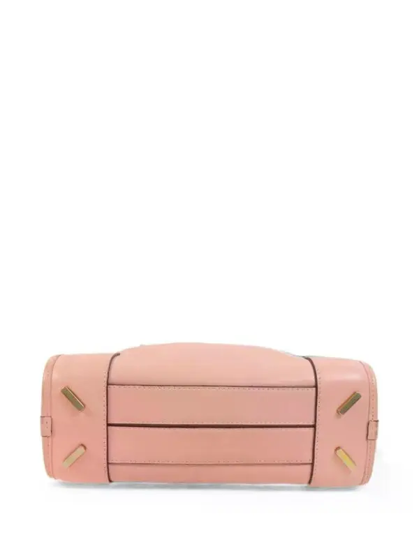 Loewe Amazona Tote Bag