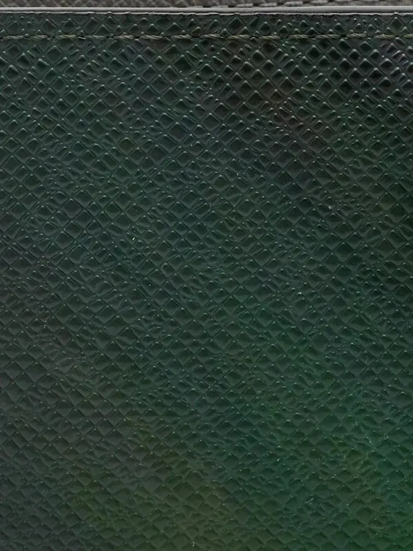 LOUIS VUITTON 2000 Taiga Pocket Organizer Wallet