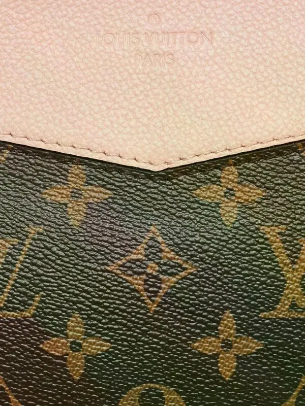 LOUIS VUITTON Daily Monogram Clutch Bag