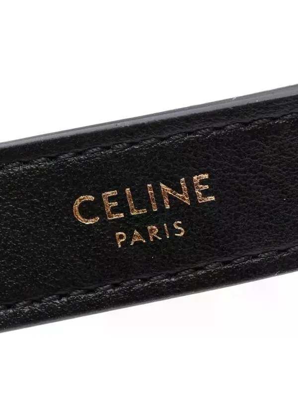 Celine 2000-2026 Medium Calfskin Triomphe Ava Shoulder Bag