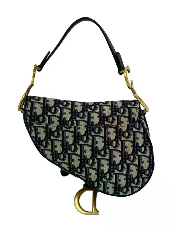 Dior 2010-2026 Mini Oblique Canvas Saddle Bag Satchel