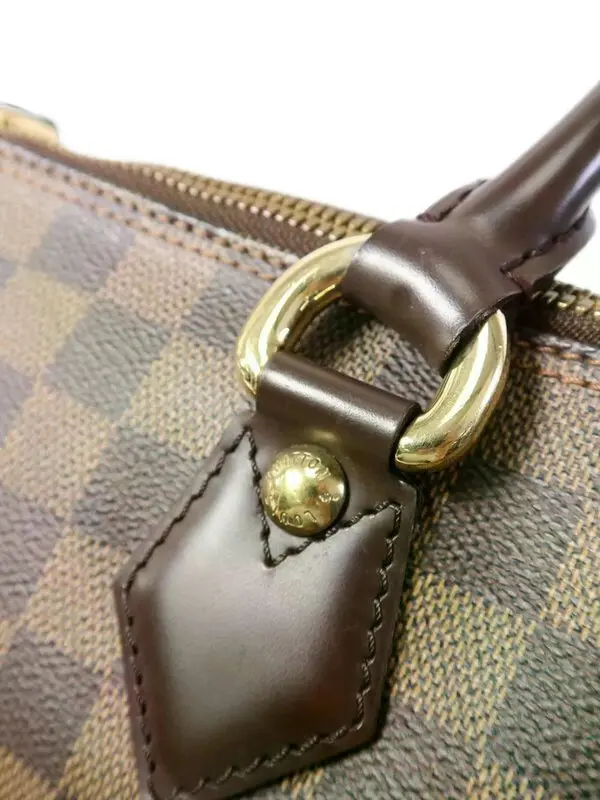 LOUIS VUITTON Saleya Mm Tote Bag