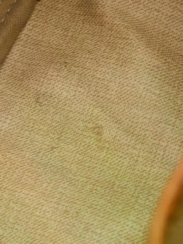 LOUIS VUITTON Monogram Canvas Deauville Handbag - Brown