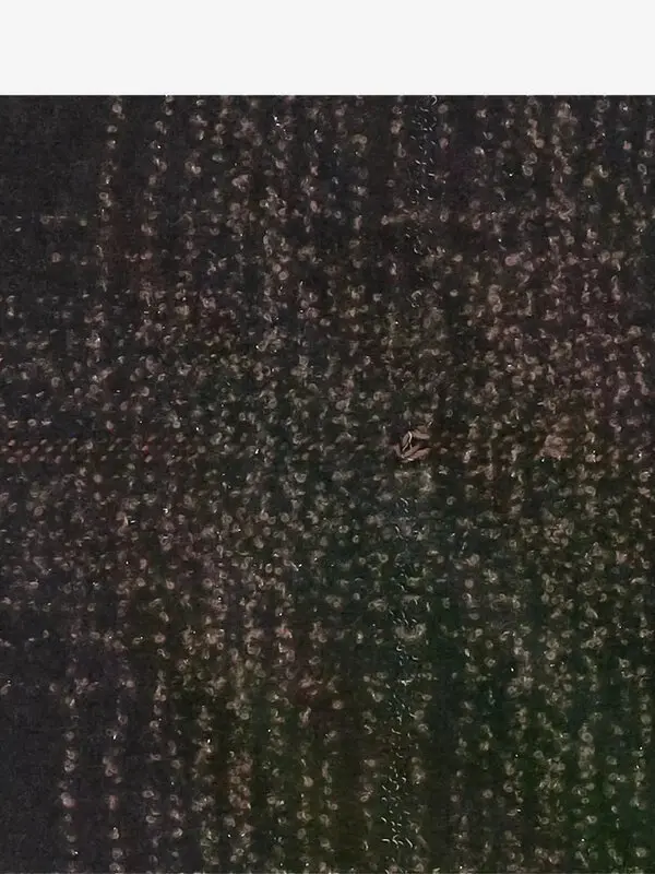 Faliero Sarti Check-pattern Scarf