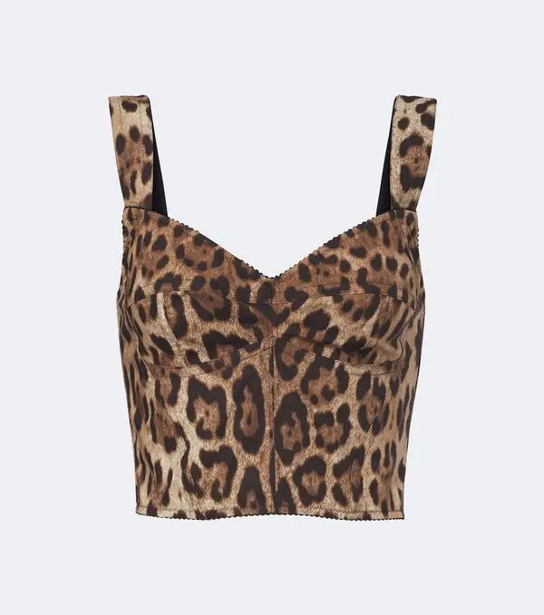 Dolce & Gabbana Leopard-print Bustier Top - Brown