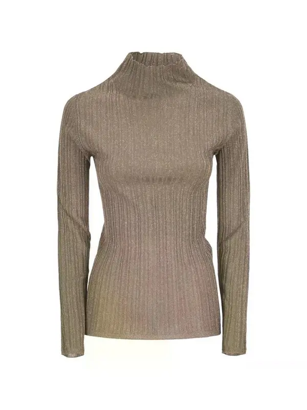 Fabiana Filippi Fine-knit Turtleneck