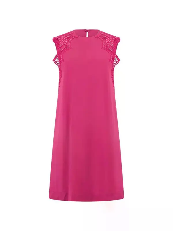 Alberta Ferretti Fuchsia Lace-detail Sleeveless Mini Dress