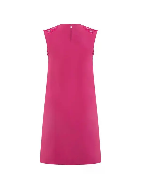 Alberta Ferretti Fuchsia Lace-detail Sleeveless Mini Dress