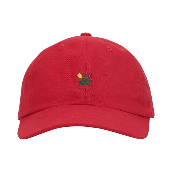 Aimé Leon Dore Brushed Crest Hat - Red