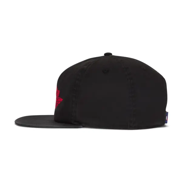 JORDAN Pro Unstructured Wings Hat