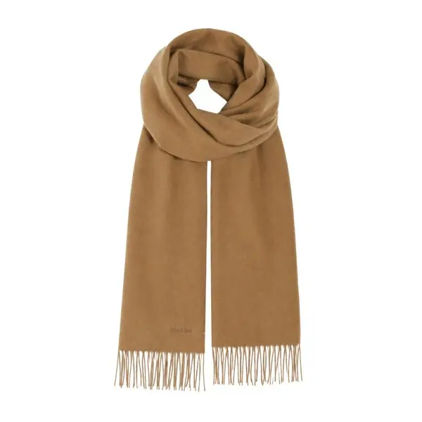 Max Mara Cashmere Stole With Embroidered Logo - Brown