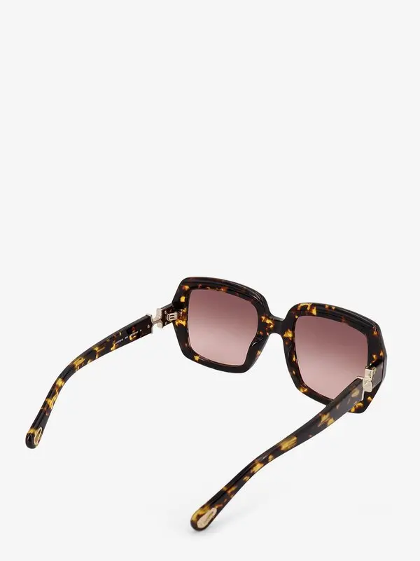 Chloé Acetate Sunglasses