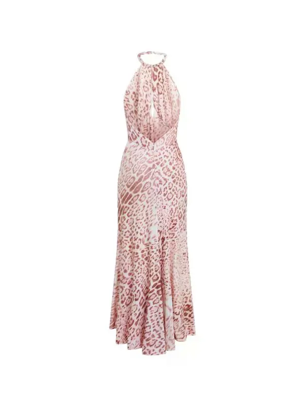 Roberto Cavalli Leopard-print Halterneck Maxi Dress