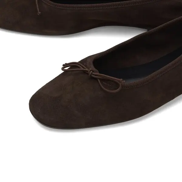 AeydĒ Tiby Suede Ballet Flats