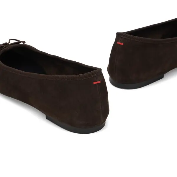 AeydĒ Tiby Suede Ballet Flats
