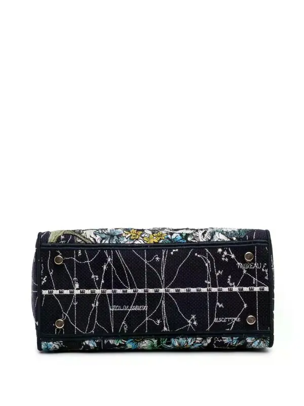 Dior Medium Embroidered Canvas Zodiac Lady D Lite Satchel - Blue