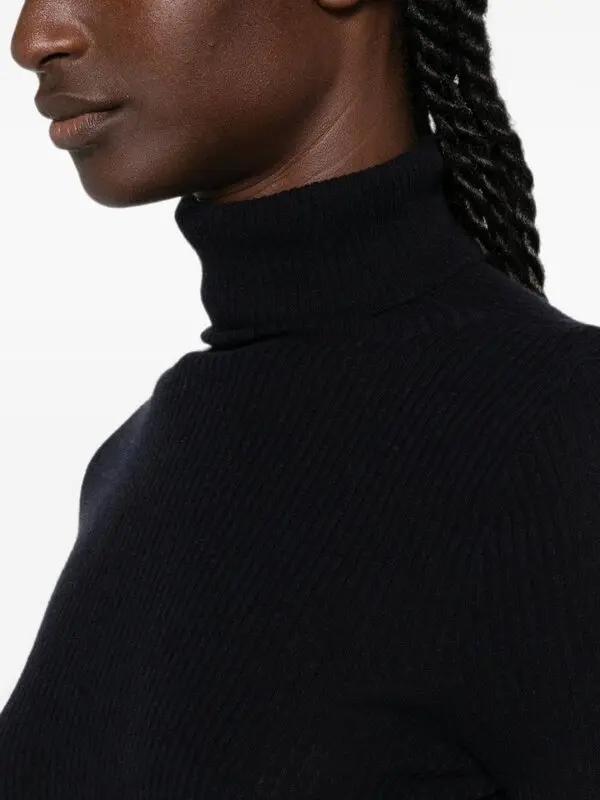Fabiana Filippi Wool Turtleneck Sweater