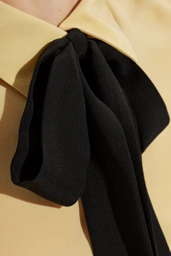 Valentino Garavani Silk Shirt With A Scarf
