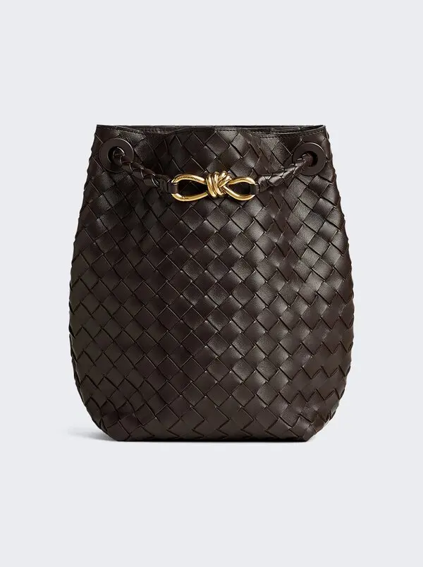 Bottega Veneta Small Andiamo Bucket Bag - Brown
