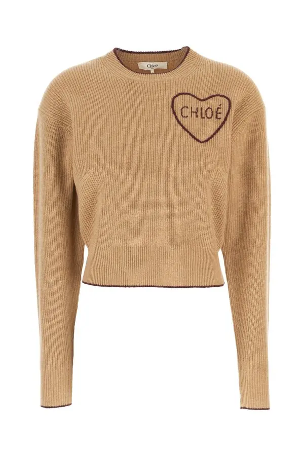 Chloé Clothing Knitwear - Multicolor