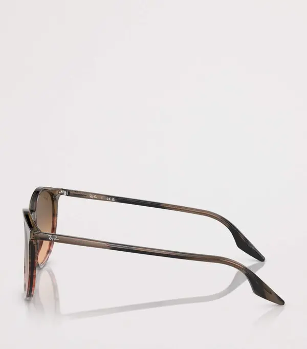 Ray-ban Phantos Round Frame Sunglasses