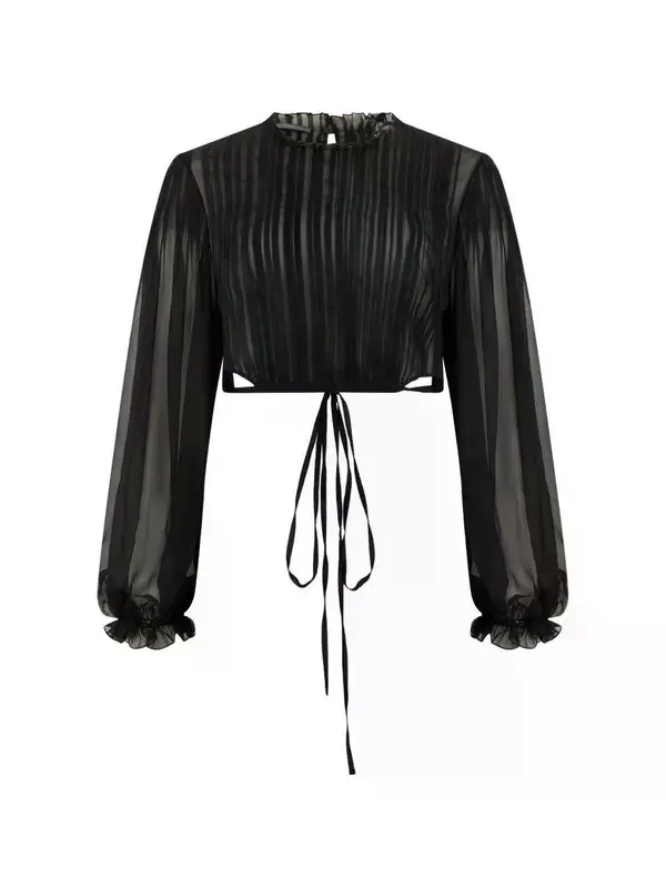 Alberta Ferretti Sheer-panelled Cropped Top - Black
