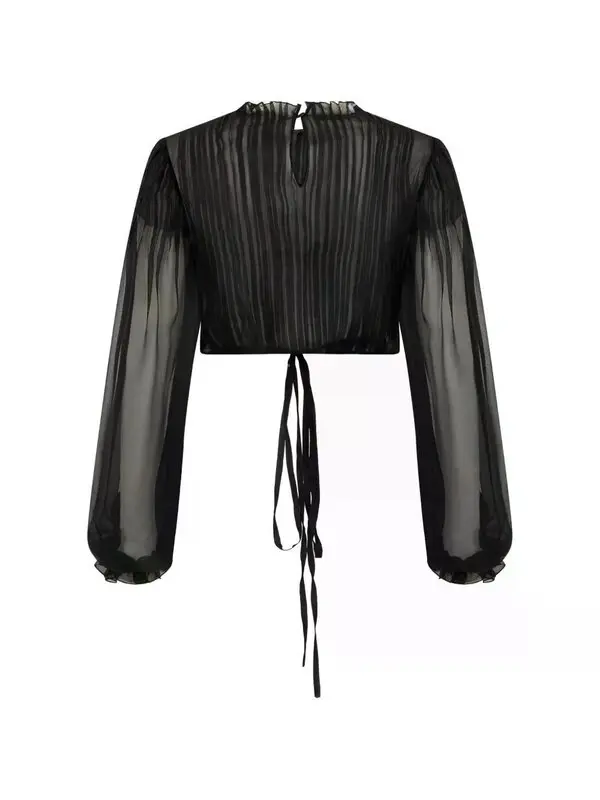 Alberta Ferretti Sheer-panelled Cropped Top